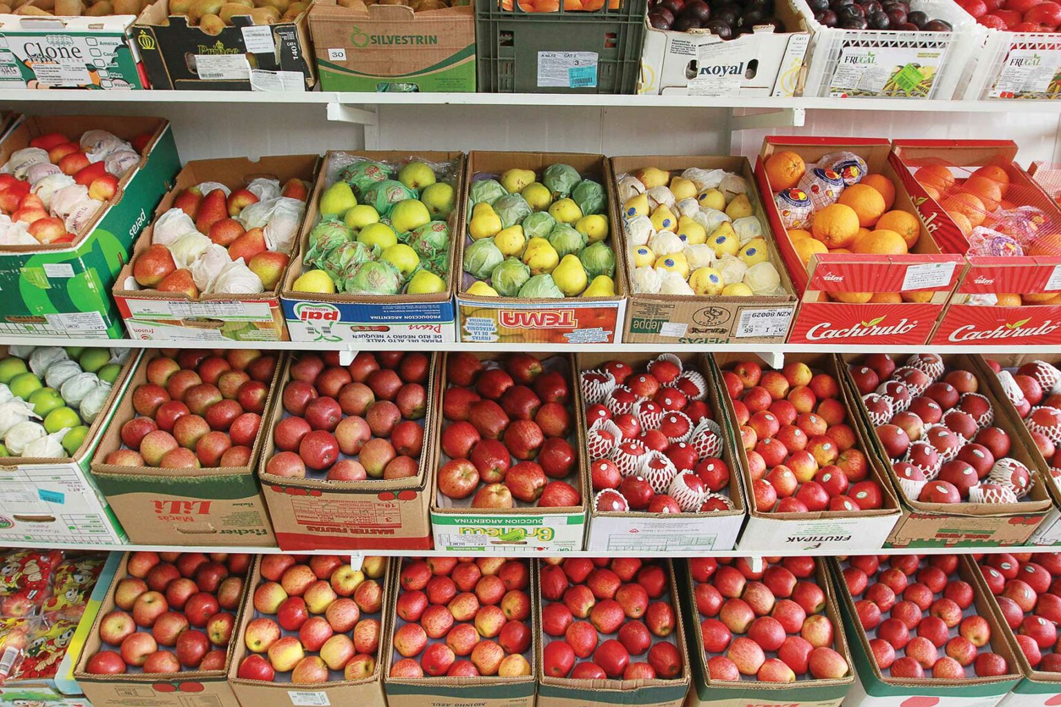 Começa em julho a rotulagem de frutas, verduras e legumes