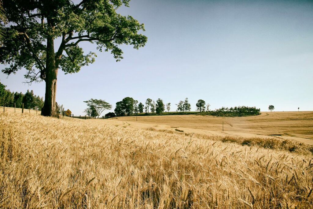 Orientações sobre o Funrural