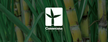 Consecana | Sistema FAEP