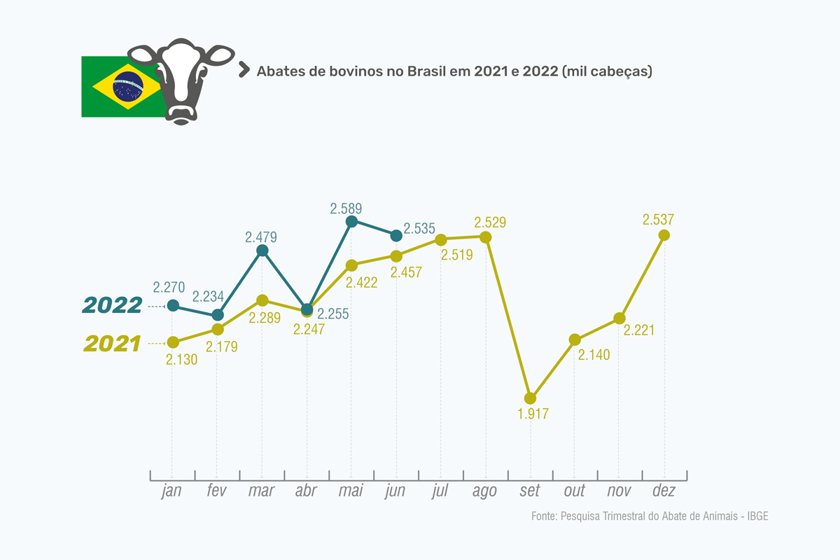 Indefinições marcam dinâmica da arroba do boi