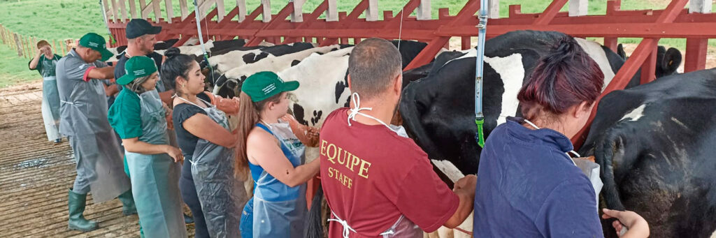 CTP, em Castro, oferta curso de inseminação artificial